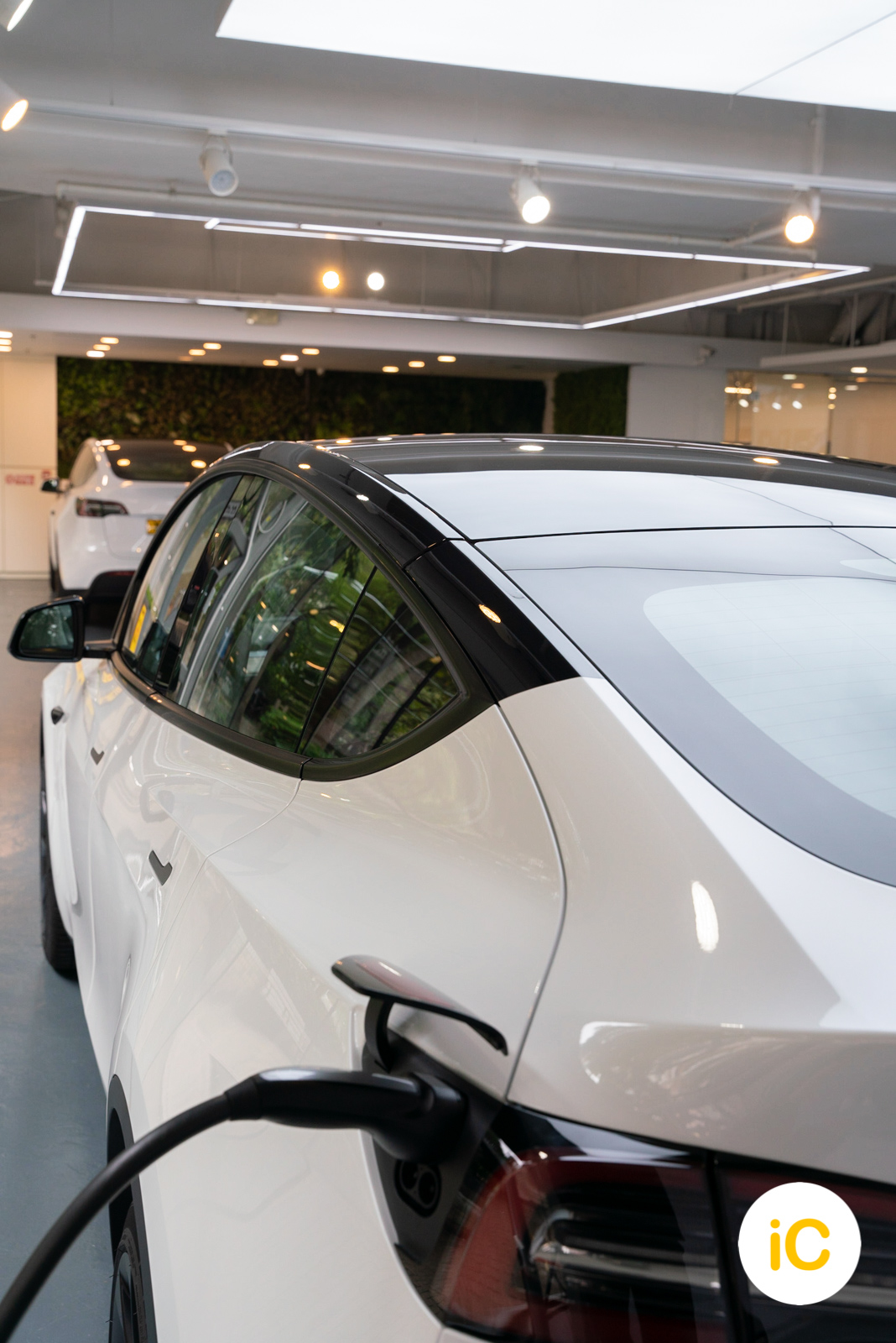 Tesla Model Y (2-Tone PPF) - PPF 車漆保護膜 - IC Detail