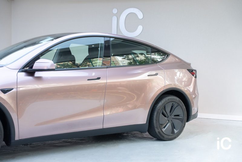 Tesla Model Y Juniper (Frozen Berry) - PPF 車漆保護膜 - IC Detail
