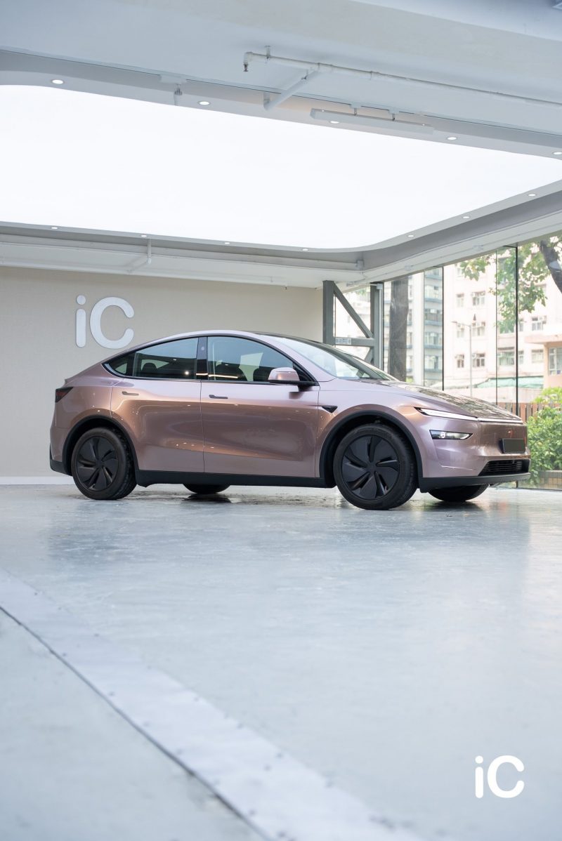 Tesla Model Y Juniper (Frozen Berry) - PPF 車漆保護膜 - IC Detail